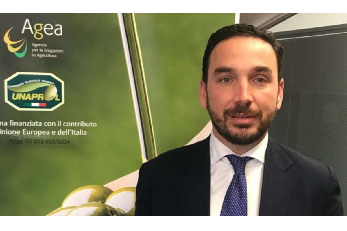 Consegna delle olive ai frantoi da registrare entro 6 ore - l'OlivoNews