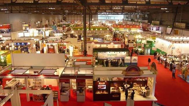 Certification and innovation: the olive growing world towards the ...