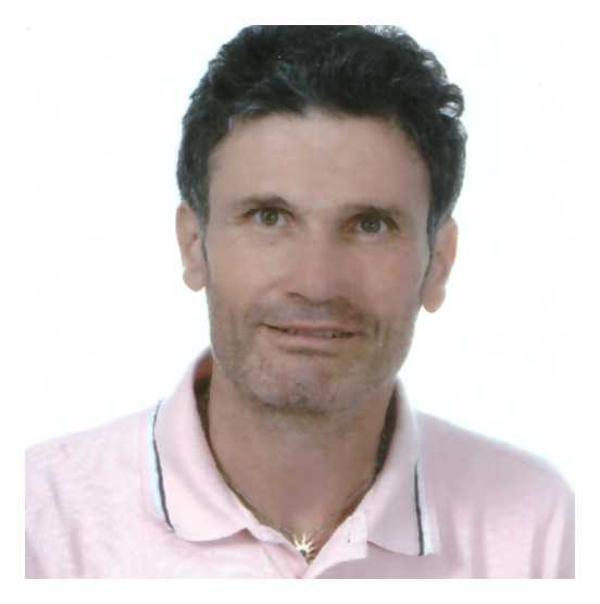 Evoluzione dell'olivicoltura: dal tradizionale al superintensivo - l ...