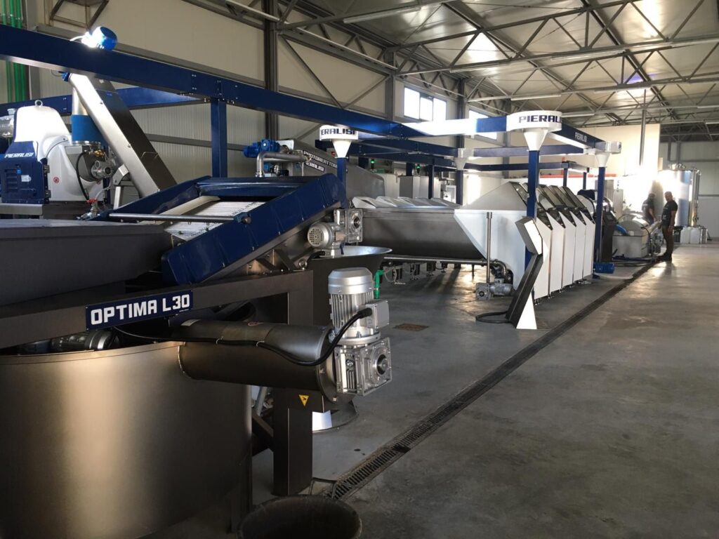 New Olive Oil Plan, the FOA: "Millers Ready to Invest" - l'OlivoNews