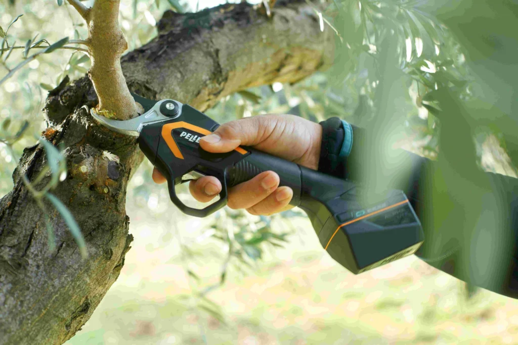 Sécateurs à batterie, une gamme Pellenc encore plus riche - l'OlivoNews