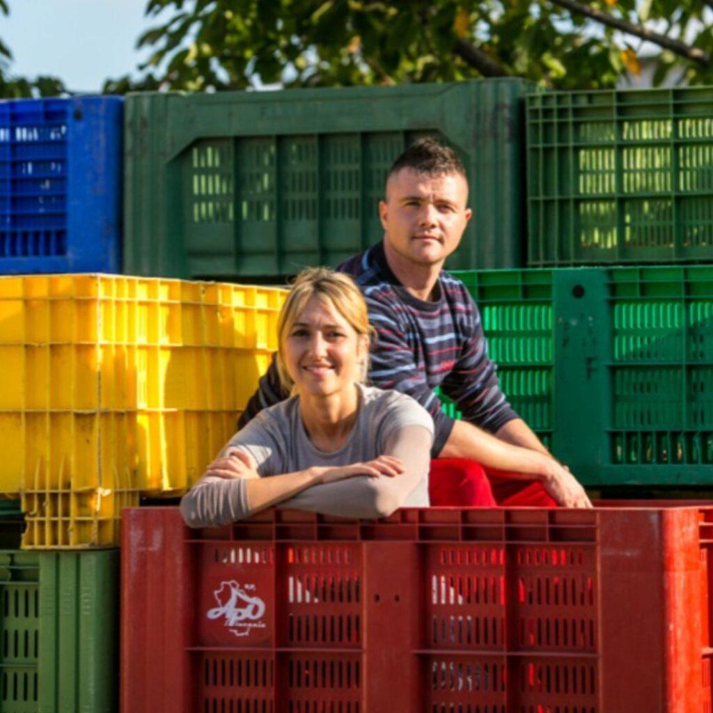 "Meno olio sì, ma chi ha lavorato bene ha prodotto olive sane" - l ...